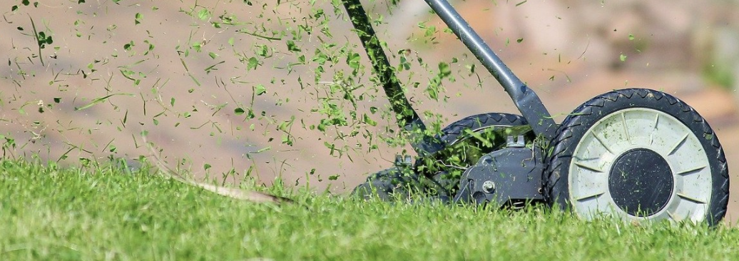 Essential Lawn Care Tips you Should Know - Free Info Blog